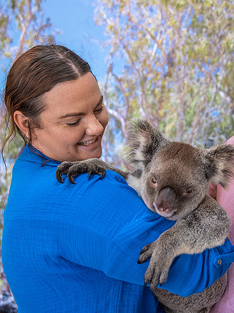 Gallery - www.koalagardens.com.au