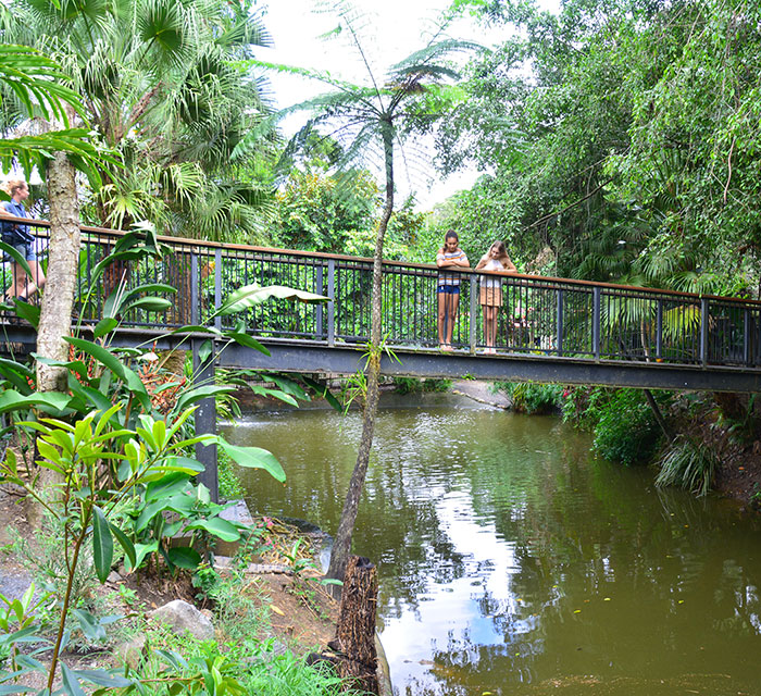 Kuranda Koala Gardens Animals - A Collection Of Furry Friends